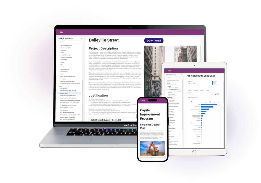 Budget Enterprise | Euna Solutions