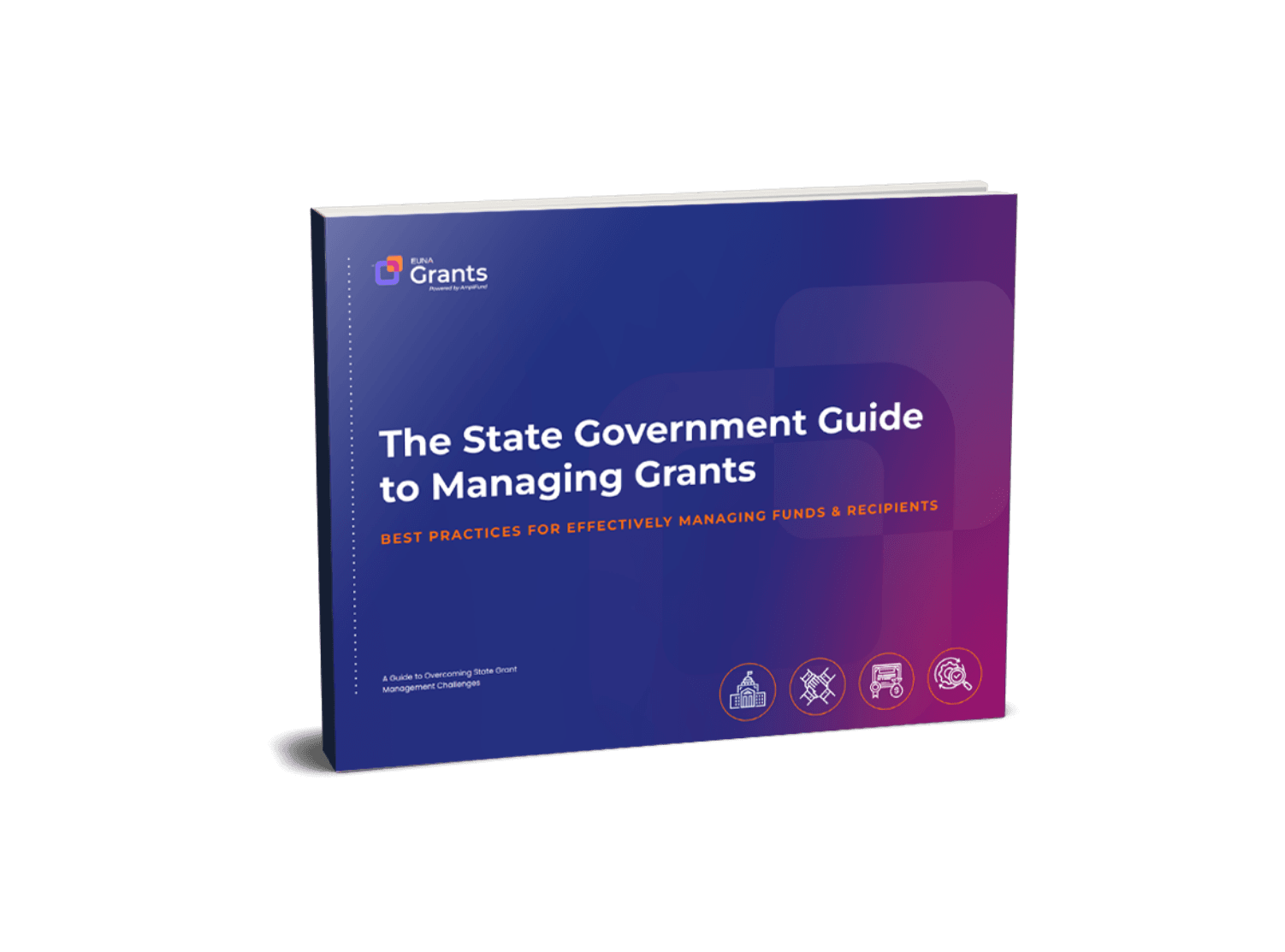 Public Sector Software Solutions | Euna Solutions