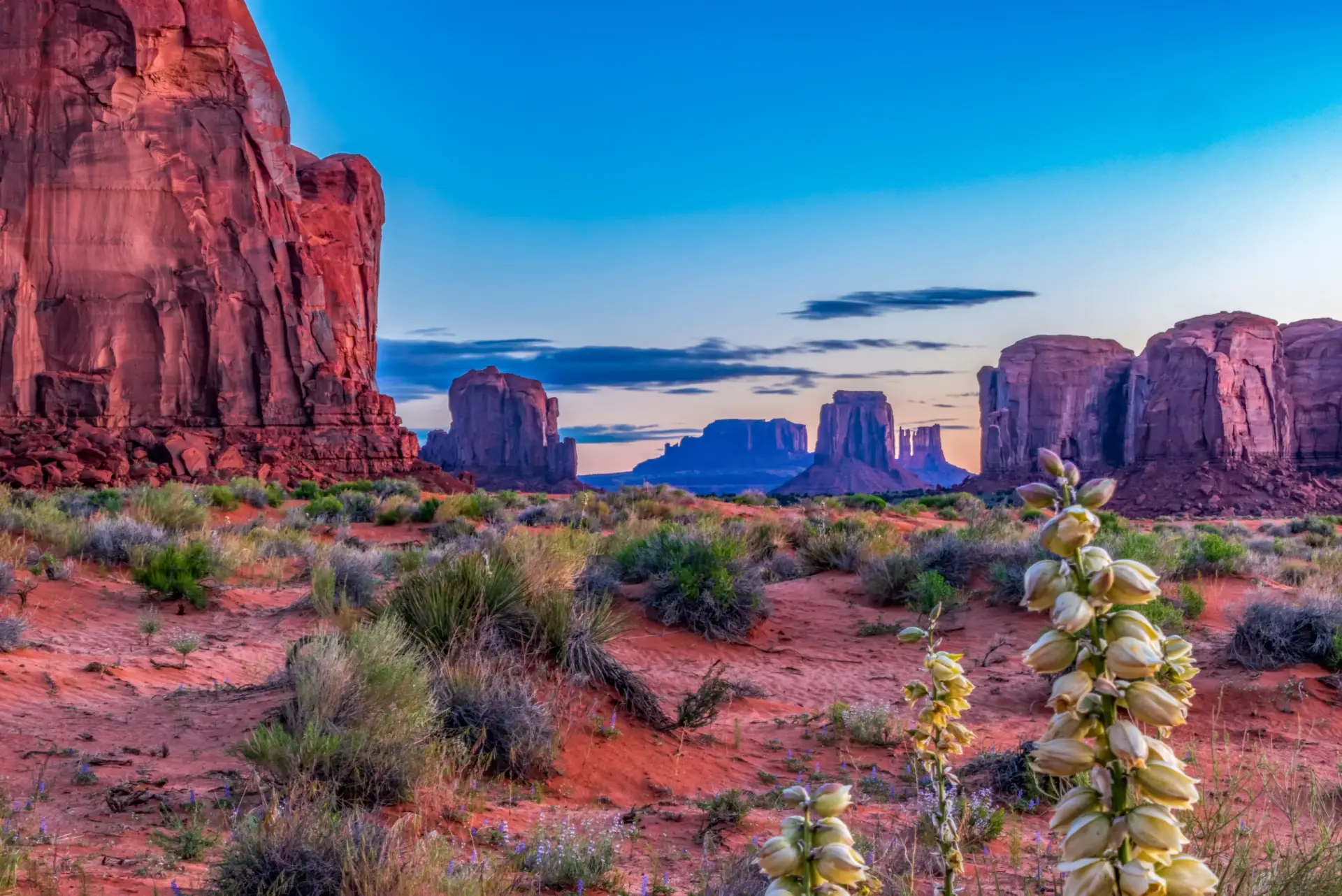 The Spreadsheet and the Seventh Generation | Euna Solutions